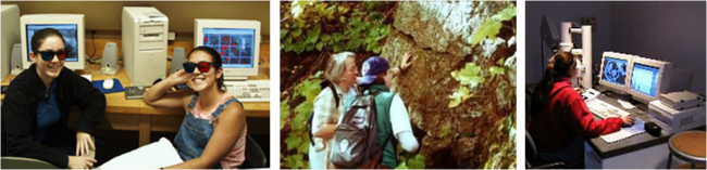 Undergraduate research photo montage