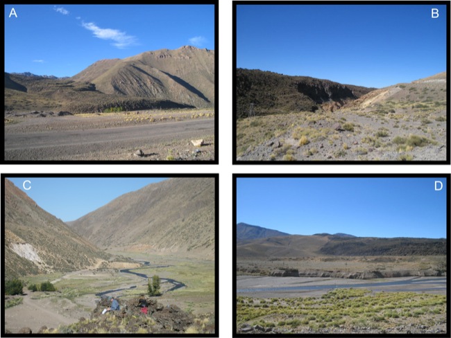 Basaltic-andesite flow in the Rio Salado drainage