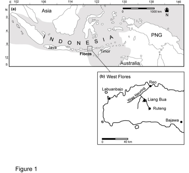 Indonesian archipelago