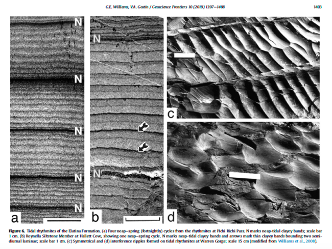 Close up view of tidal rhythmites