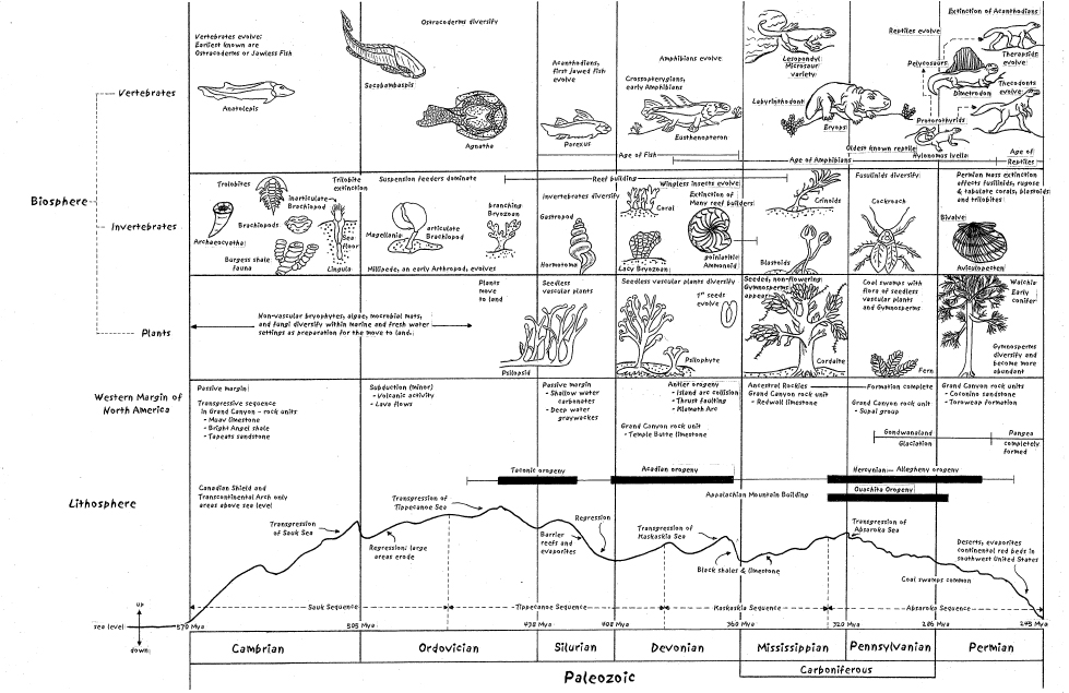 Paleozoic timeline