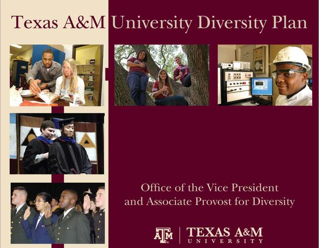 TAMU diversity plan image