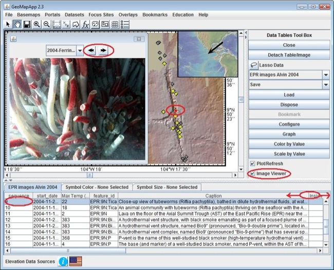 Viewing the EPR images