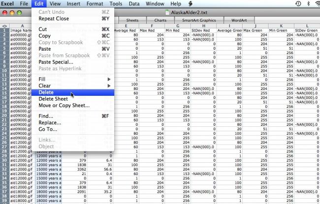 delete column in spreadsheet