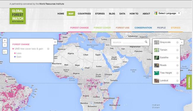Global forest change map