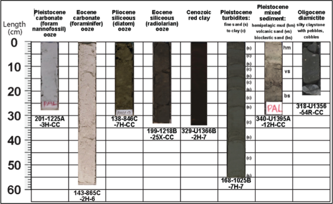 Virtual Sediment core kit.png