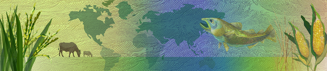 Food Security Banner