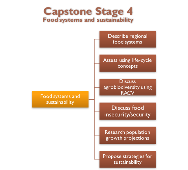 Capstone Stage 4a diagram