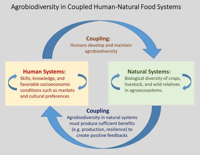 factors_human_systems_natural.jpg