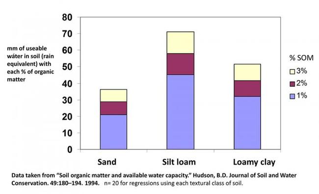 graph_soil_organic_matter.jpg