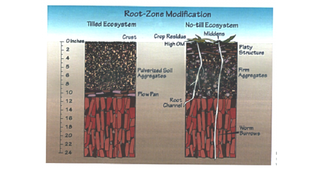 Root-Zone Modification diagram