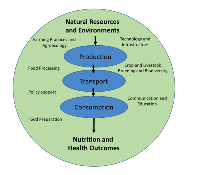 Simplified diagram of food system