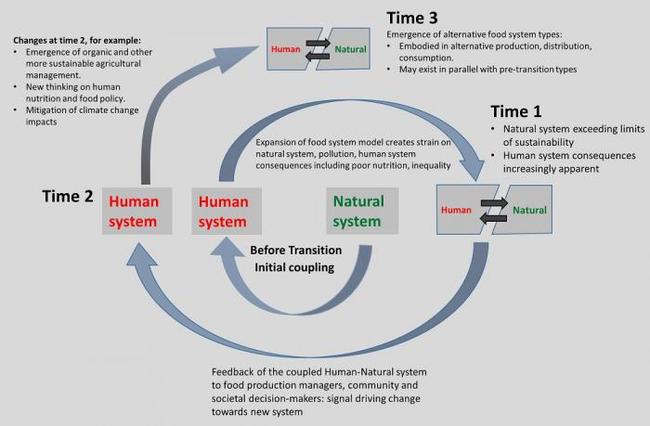Transition_FoodSystems_CNH_Diagram_small_0.jpg