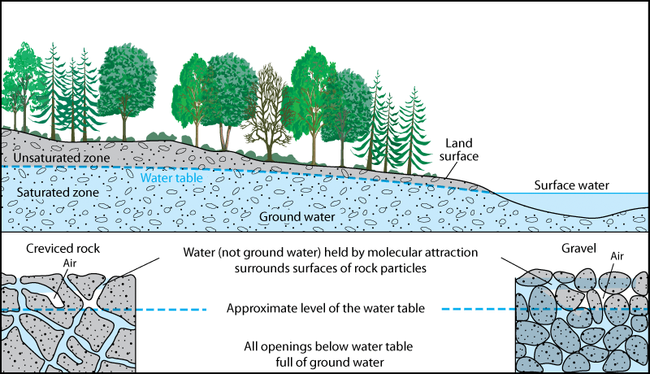Cross sectional diagram of water table aquifier.