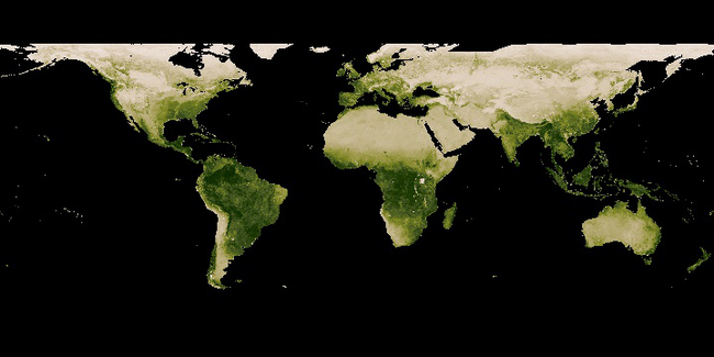 modis_satellite_image_renderings_1490710523743277263.png