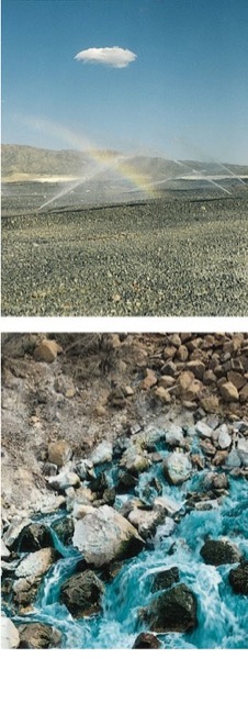 heap leach extraction of copper