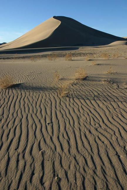 Wind ripples and dune, SE California