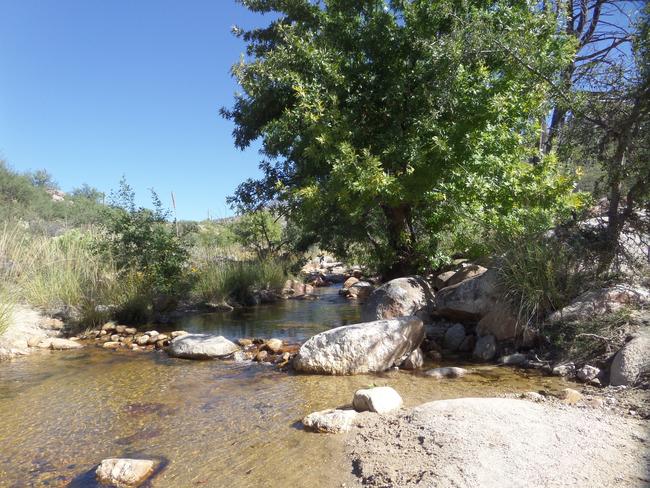 picture of stream bed