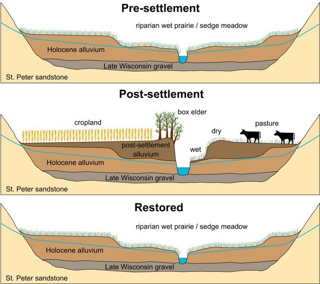 Fig. 2. Conceptual Model of Floodplain Change