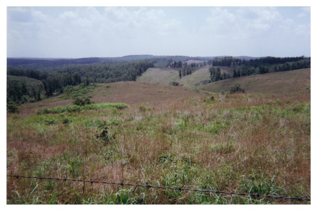 forest ranch border from the road