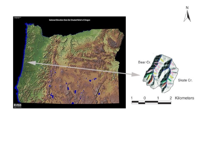 Site map of Oregon Coast Range study area
